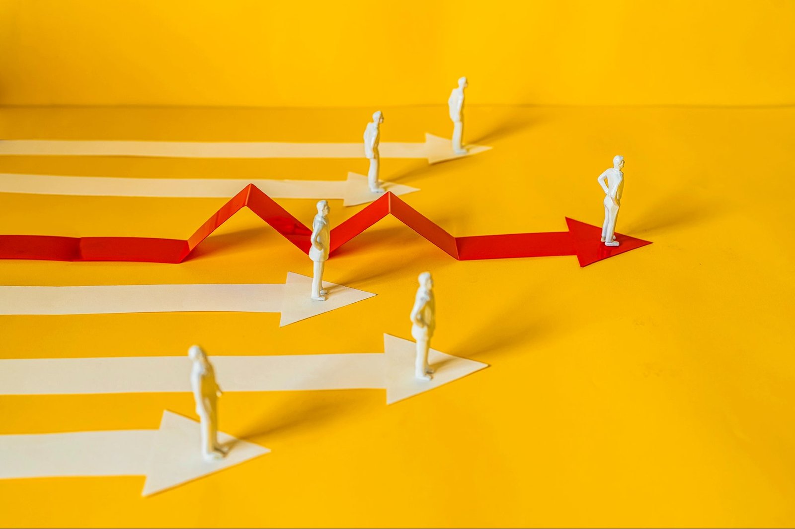 How I Built a Business That Thrives Through Constant Disruption — and ...