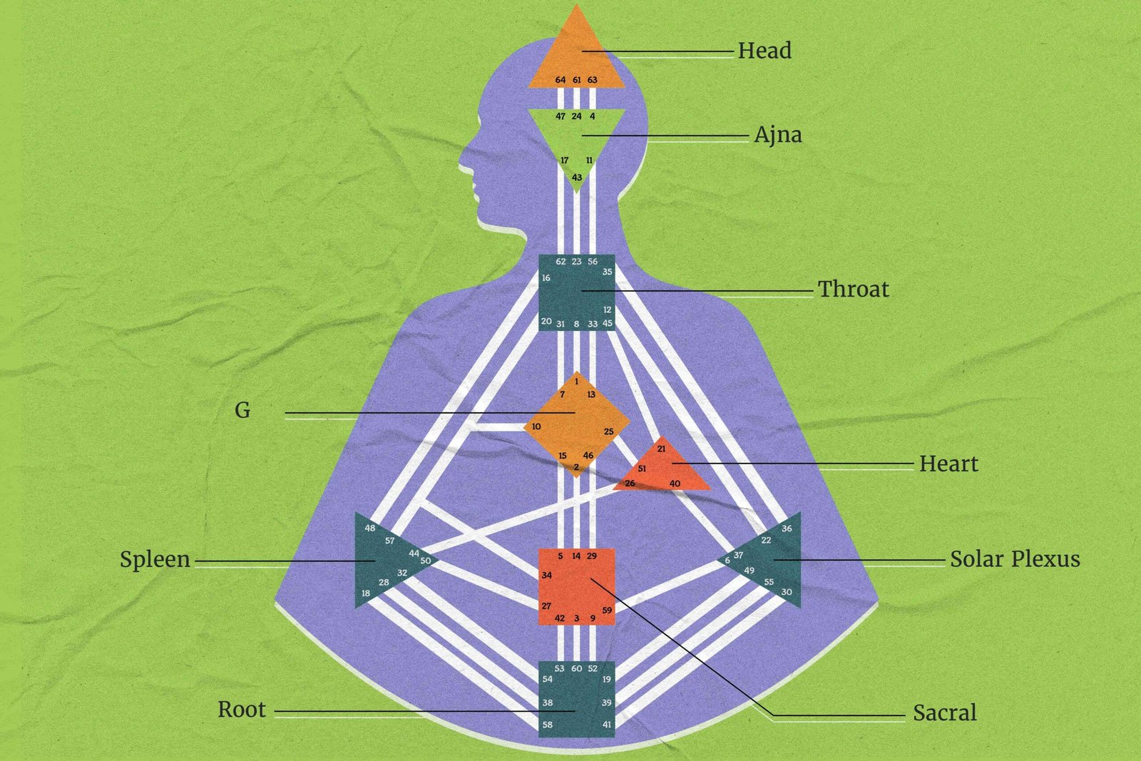 What to Know About Human Design – - Exodus 17-12